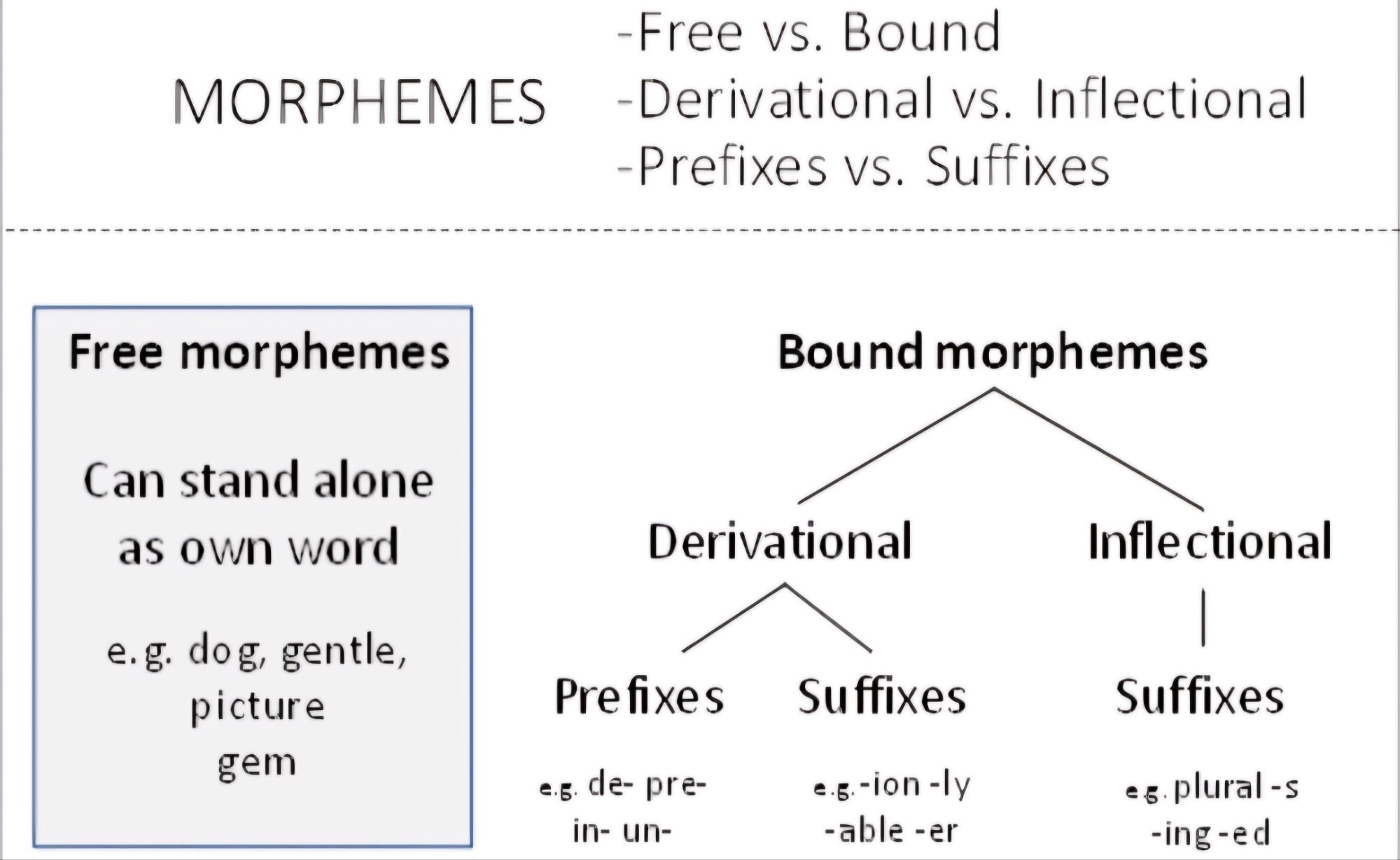 Language and Tongue: Linguistics 101 – Wulfhūs: The Wandering Wolf Blog
